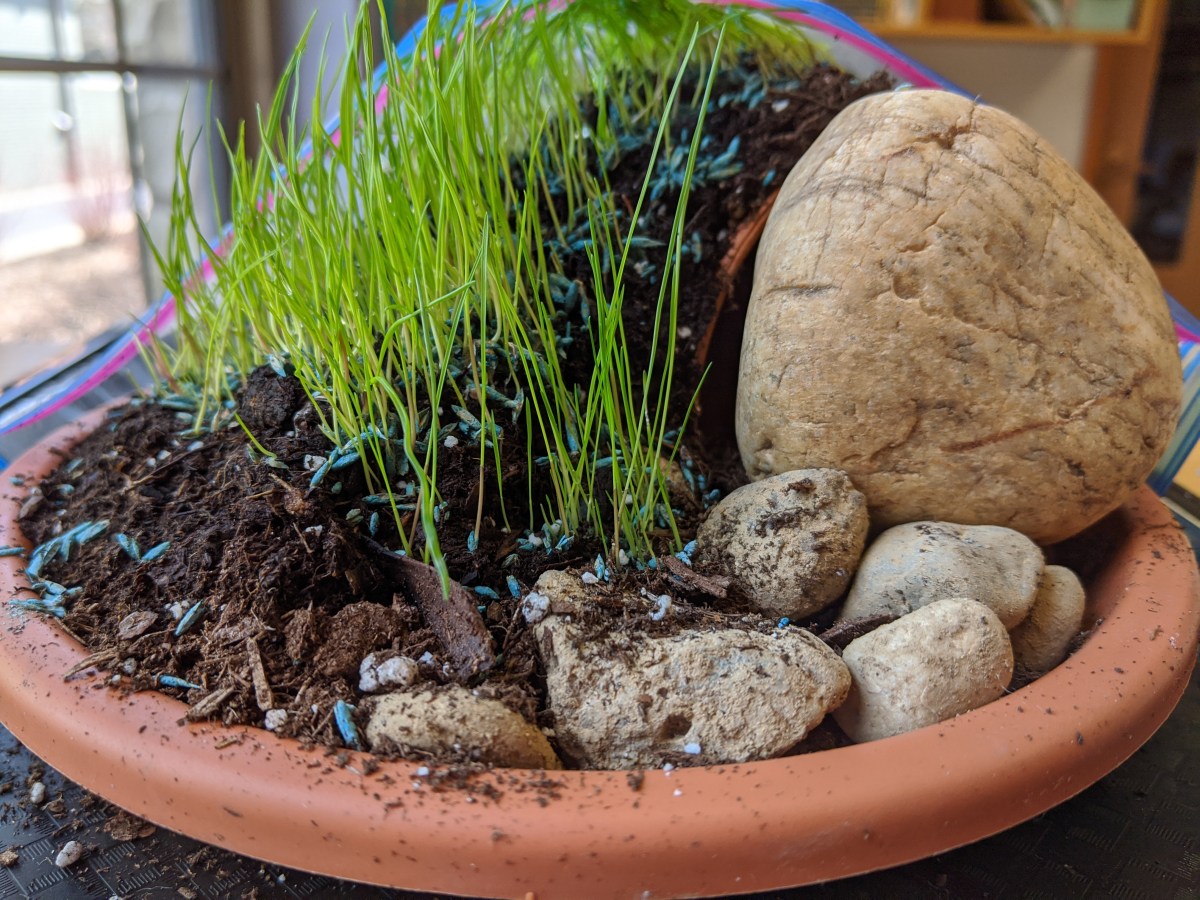 Seven Ideas for Holy Week at Home – Christine V Hides